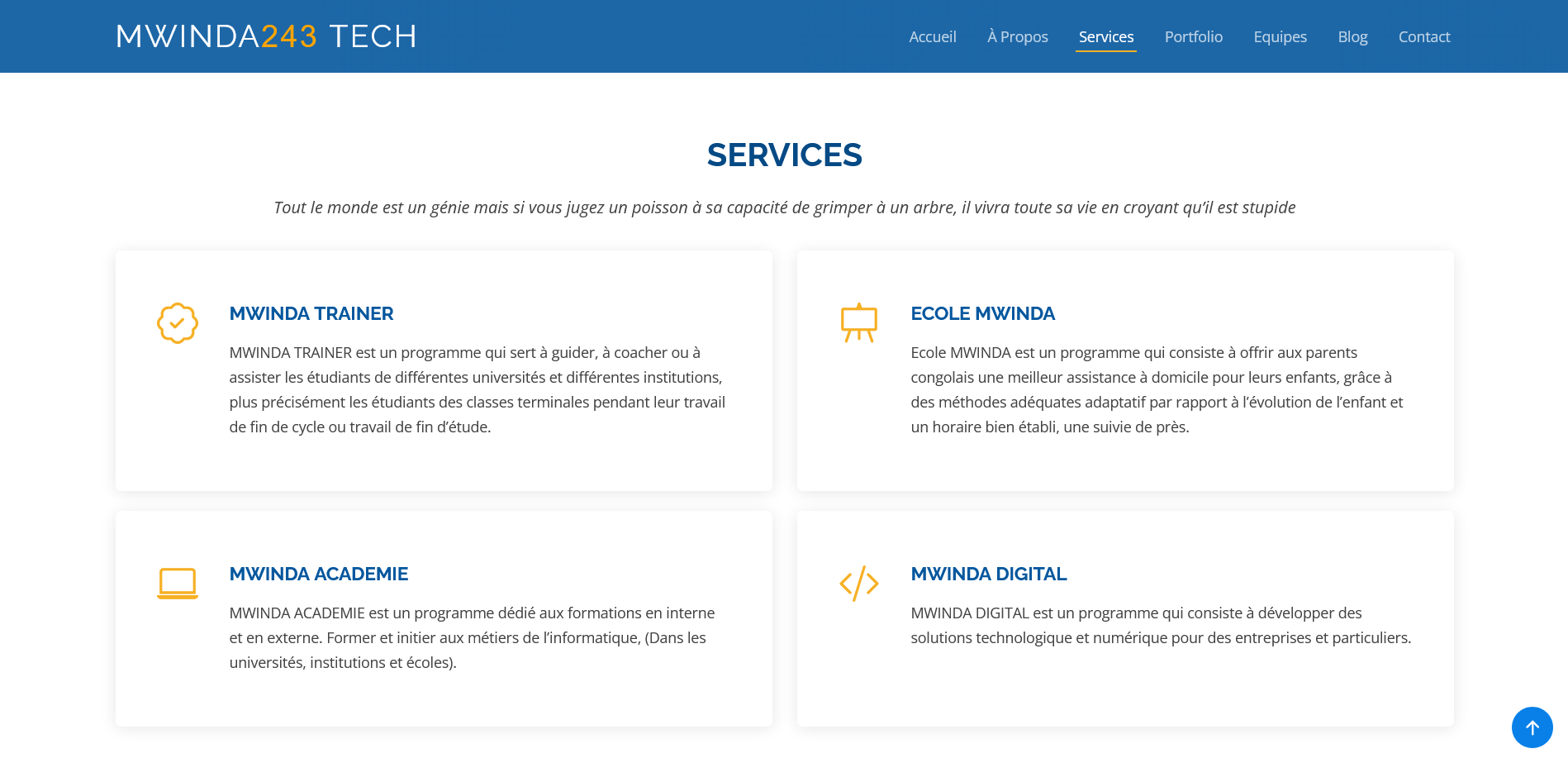 Portfolio Details - MWINDA243 Tech